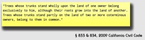 Fencerows and Boundary Trees | Tree and Neighbor Law For Homeowners and ...