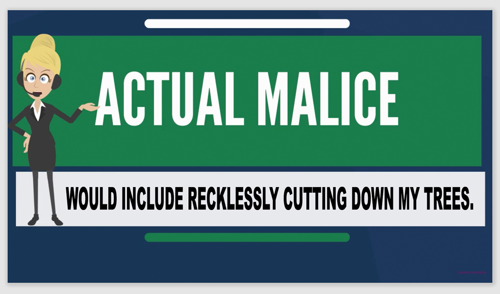 Case of the Day – Monday, May 13, 2024 | Tree and Neighbor Law For ...