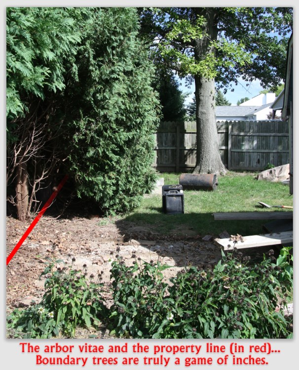 Pennsylvania | Tree and Neighbor Law For Homeowners and Professionals